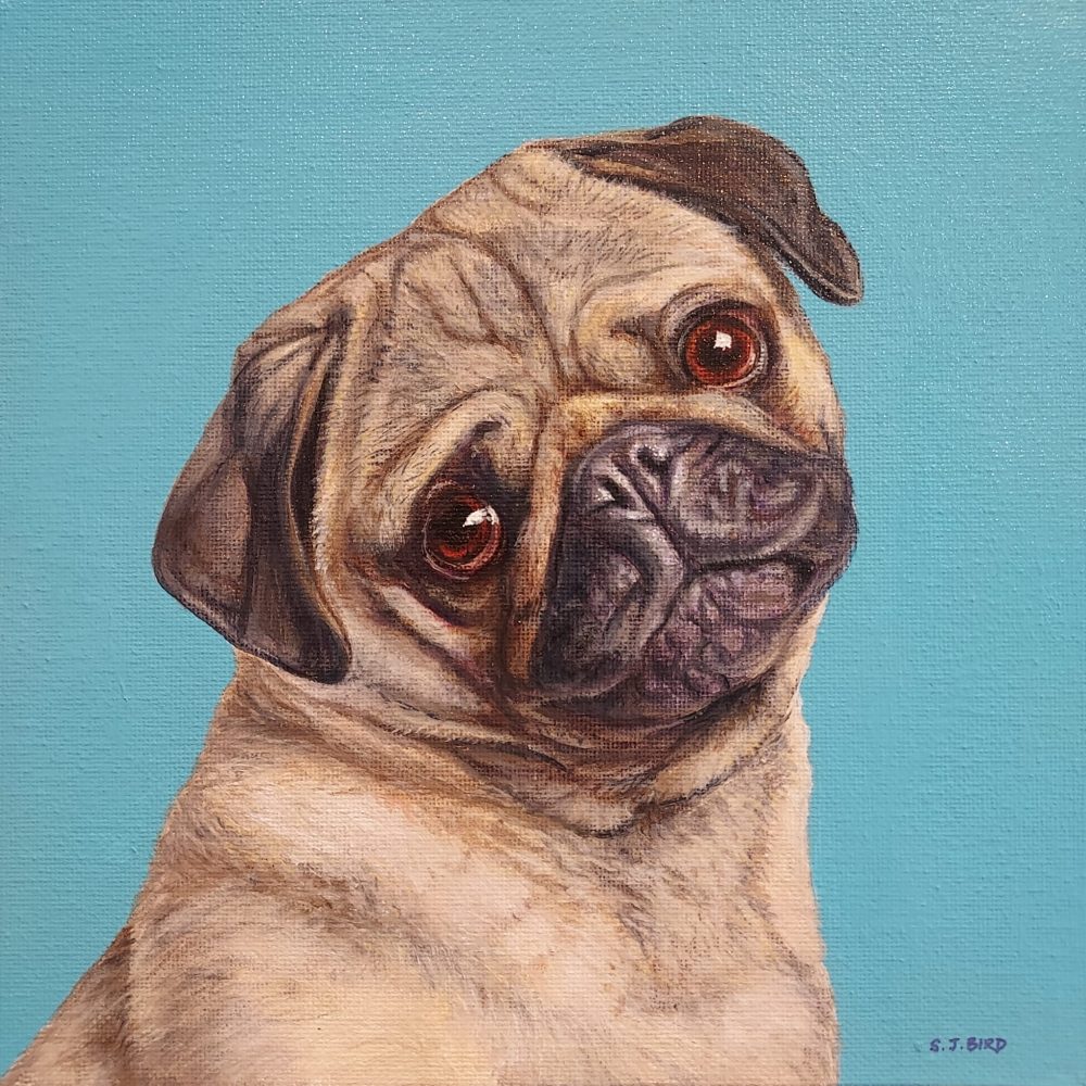 Stanley Bird - The Velvet Easel Gallery | Portobello